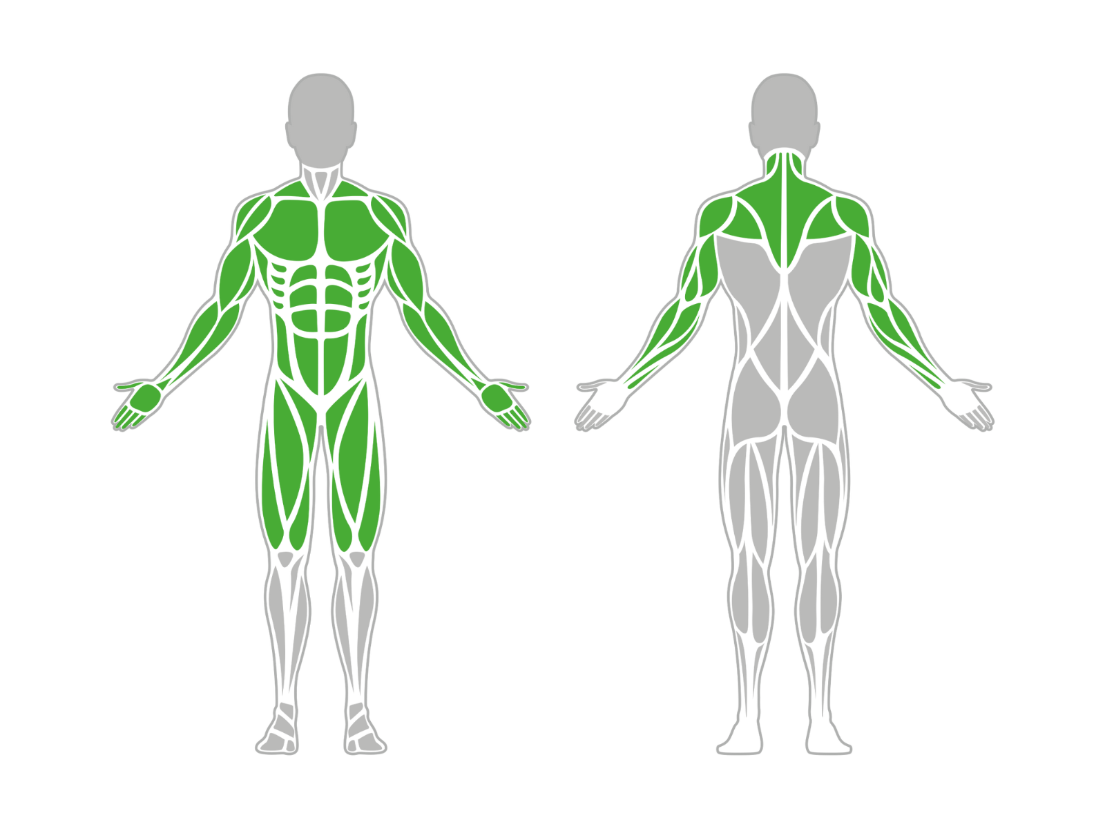 Horizontal Ladder - BeStrong USA